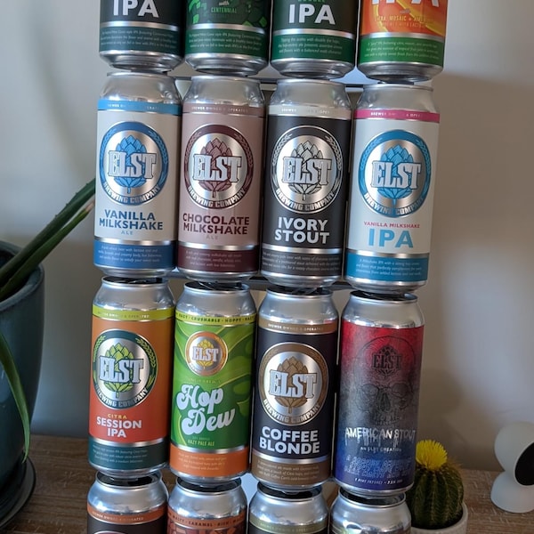 Modern Can Frame - Ted Hold My Beer - Etsy