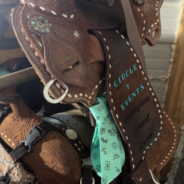 USA Made, Chocolate & White Tack Set, USA Made, Buckstitch Tack ...