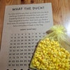 100 Duck Challenge Kit, Hide-a-duck Kit, Miniature Duck Scavenger Hunt ...