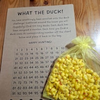 100 Duck Challenge Kit, Hide-a-duck Kit, Miniature Duck Scavenger Hunt ...