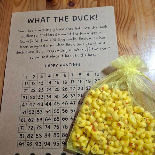 100 Duck Challenge Kit, Hide-a-duck Kit, Miniature Duck Scavenger Hunt, Duck Practical Joke Gift ...