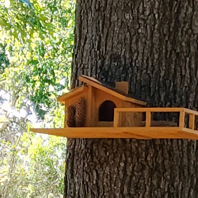 Squirrel House/nesting Box - Etsy