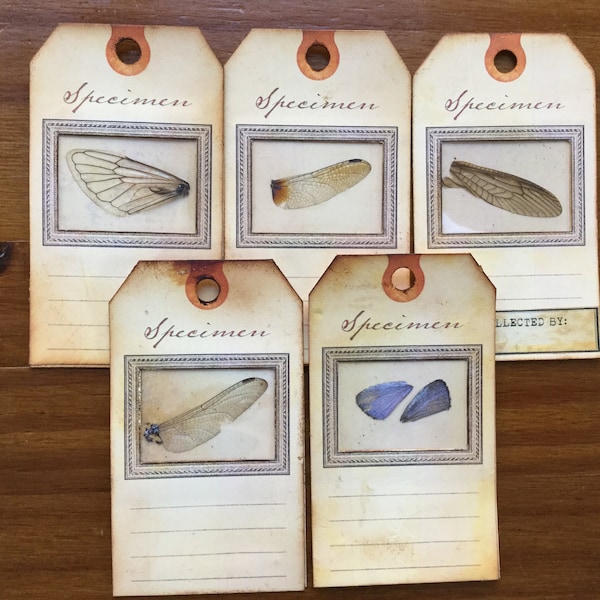 Life Notes Mega Junk Journal Kit, Printable Junk Journal, Journal Notes ...