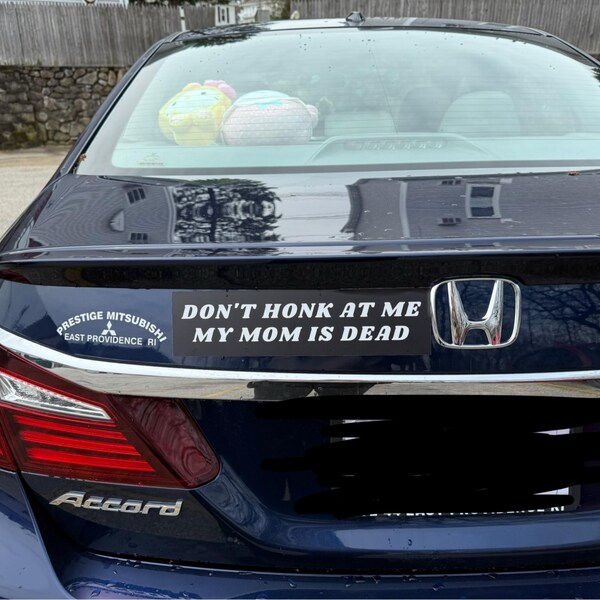 Please Don't Hit Me Bumper Sticker Gen Z, Funny Car Sticker Decals ...