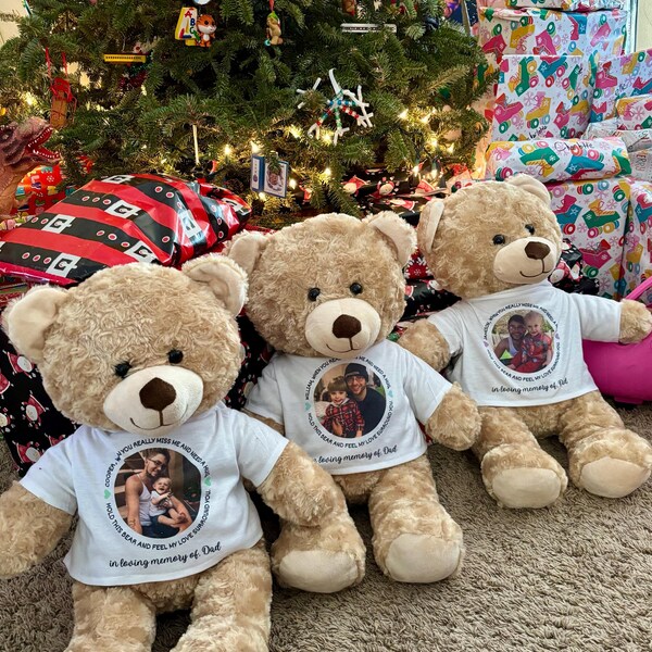 Memory Bear, Pepe Teddy Bear, Memorial Bear for Kids, Sympathy Bear ...