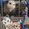 Opossum Mailbox - Etsy