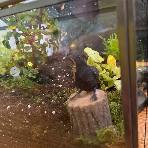 Miniature Black Raven W/ Secret Key for Halloween ~ Fairy Garden ...