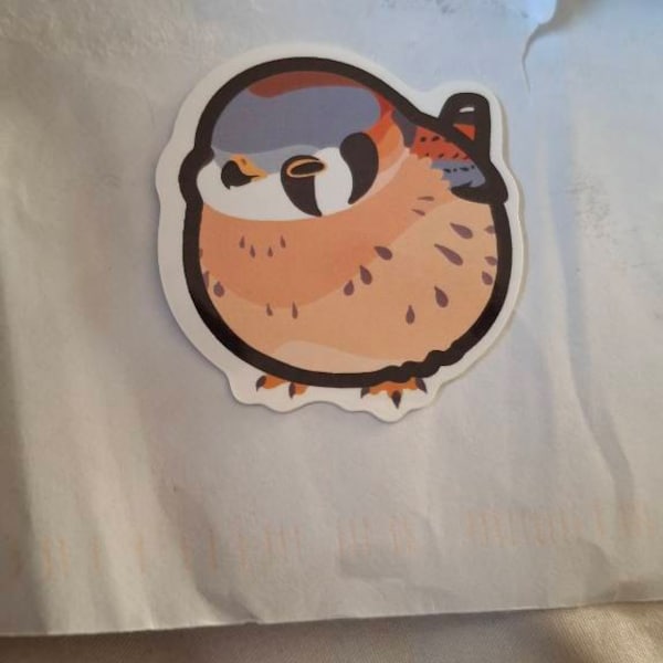 Cute Round American Kestrel, Adorable Waterproof Birb Sticker - Etsy