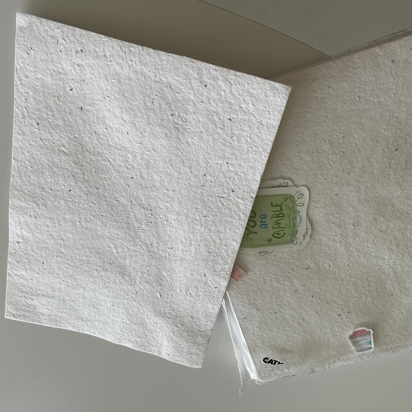 Printable A4 Seed Paper Printer Safe - White Printable Seeded Paper ...