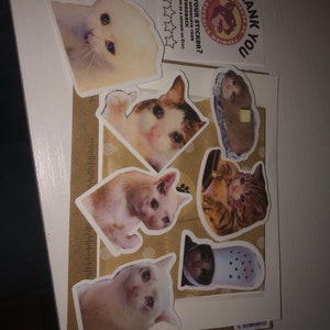Crying Cat Sticker Pack Pack of 7 Meme Crying Cat Stickers - Etsy