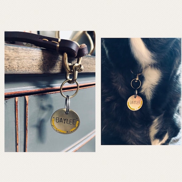 Custom Dog Tag / Custom Pet ID Tag - Lucy - in 1.25'' Domed Bronze ...