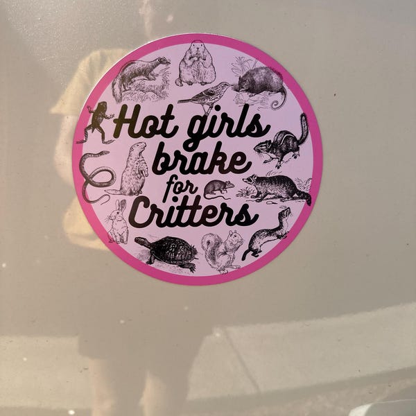 Hot Girls BRAKE FOR CRITTERS | Bumper Magnet | Vinyl Car Magnet | Gen Z ...