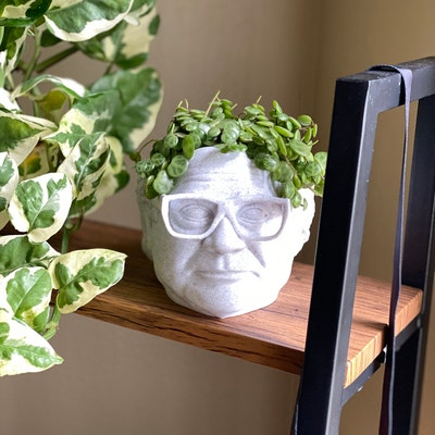 Horror Movie Planters for House Plants and Succulents - Etsy