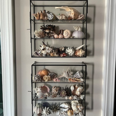 12x12x12 Inch Tall Wood Base Display Case Plus Other Sizes - Etsy