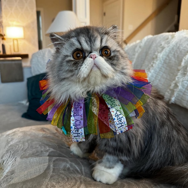 Snowflake Winter Cat Ribbon Collar Multiple Color Options - Etsy