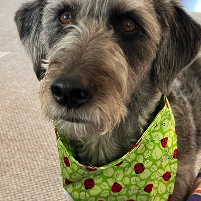 Adult Headband 2000s Style Headbands for Women Yoga - Etsy