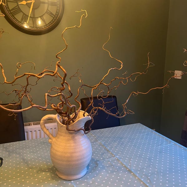 5|10 Top Table Twisted Hazel Corylus Branches, Contorted Hazel, Curly ...