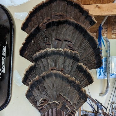 Turkey Fan Mounting Kit 4 Fan Display Copper - Etsy