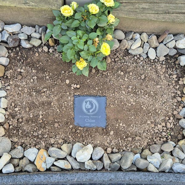 Milkweed for Monarchs Sign | Butterfly Pollinators Welcome Sign for ...