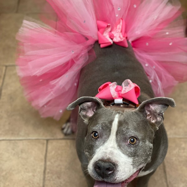 Dog Tutu: Pink Mix Tutu fuscia Pink, Bubblegum Pink, Baby Pink Small ...