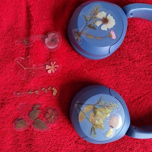 Large Vinyl Transparent Insect Stickers Die Cut Decal Set Waterproof ...