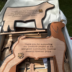 Market Barrow Hog Pig Show Award for Livestock Show Expo 4H Trophy - Etsy