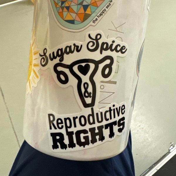 Rowdy Ruff Boys Laptop and Water Bottle Waterproof Sticker Pack - Etsy