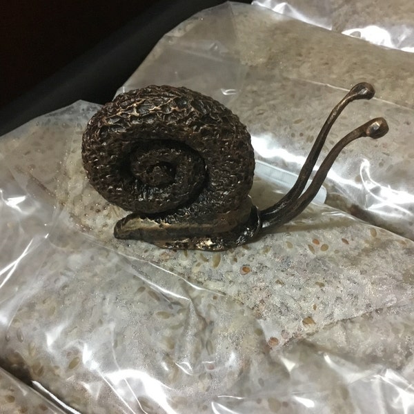Snail, Hand Forged Snail, Snail Art, Snail Accessories, Snail Charm ...