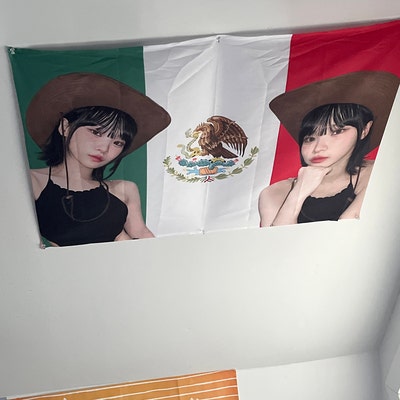 Le Sserafim Pink America Flag Tapestry, Kpop Room Merch, Gift for Le Sserafim FEARNOT Kpop Fan ...