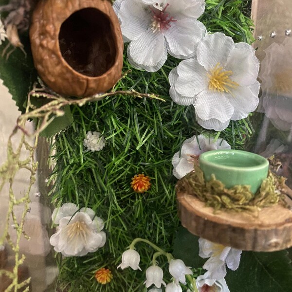 Jumping Spider Enclosure 5x5x9 Spider House, Spider Tank, Spider ...