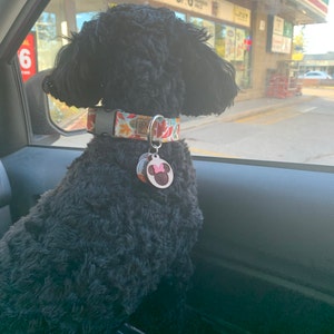 Binx is My Boo SVG - Etsy