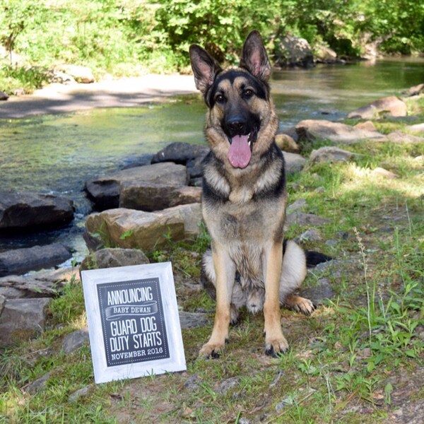 PRINTABLE Announcing Baby Guard Dog Duty Chalkboard Pregnancy ...