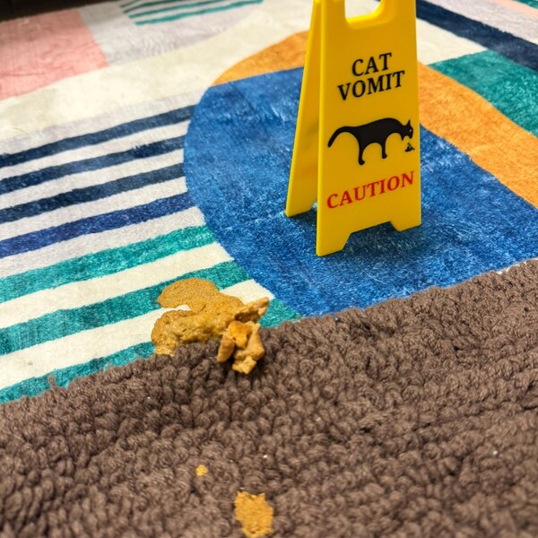 5-inch Cat Vomit Sign - Etsy