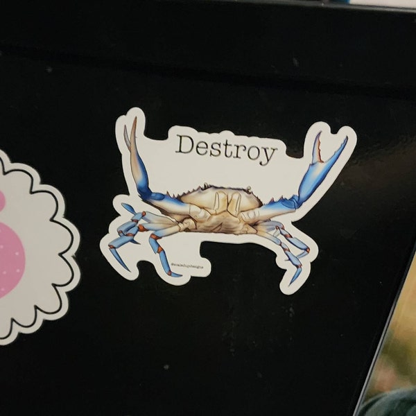 Devil Ray Tarot Holographic Sticker - Etsy