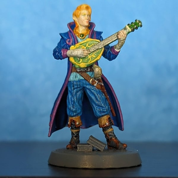 Half Elf, Male, Bard, Rogue, Leather, Vest Coat, Sabre, Guitar, Belt ...