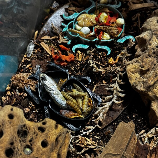 Iso-stirfry, Isopod Food, Isopod Treat, Premium Bug Food, Insect Food ...