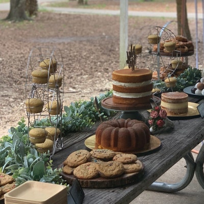 Silver Dollar Eucalyptus Double Strand Faux Greenery Garland - Etsy