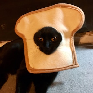 Bread Cat Costume for Cats - Etsy
