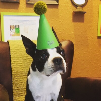 Pom Party Hat Custom Monogram Collection - Etsy