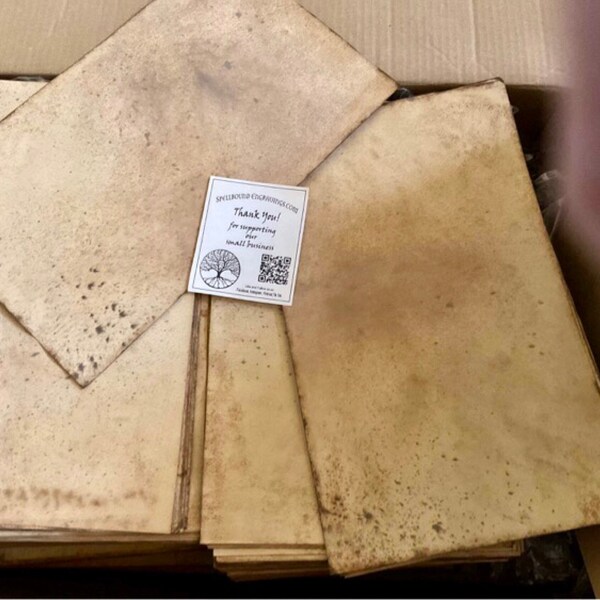 3 Inch Mini Shields, Viking Shields - Etsy