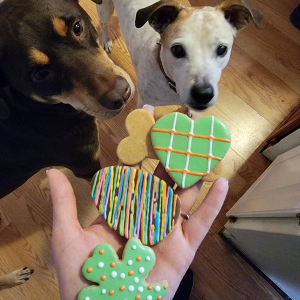 Custom Dog Treats - Photo Dog Cookies - Puppy Treats - Gourmet Dog ...