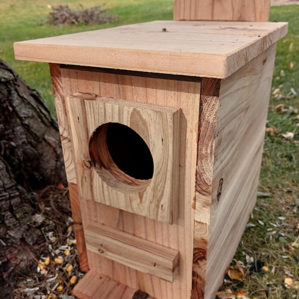 Extra Large Squirrel House, Squirrel House, Cedar Squirrel House ...