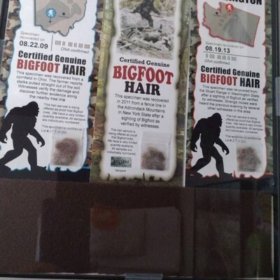 Personalized Home School TRANSCRIPT High School Education GED Custom - Etsy