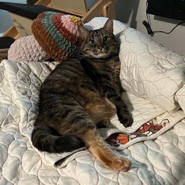 Rainbow Mushroom Pillow, Stuffie, Plushie, Boho Chic Decor for Living ...