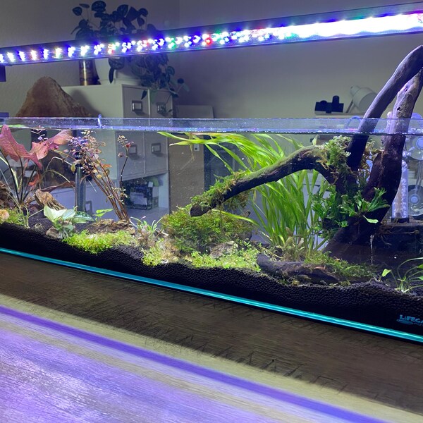 Finnex Stingray Original LED Light Riser, Attractive Stable Elevated ...