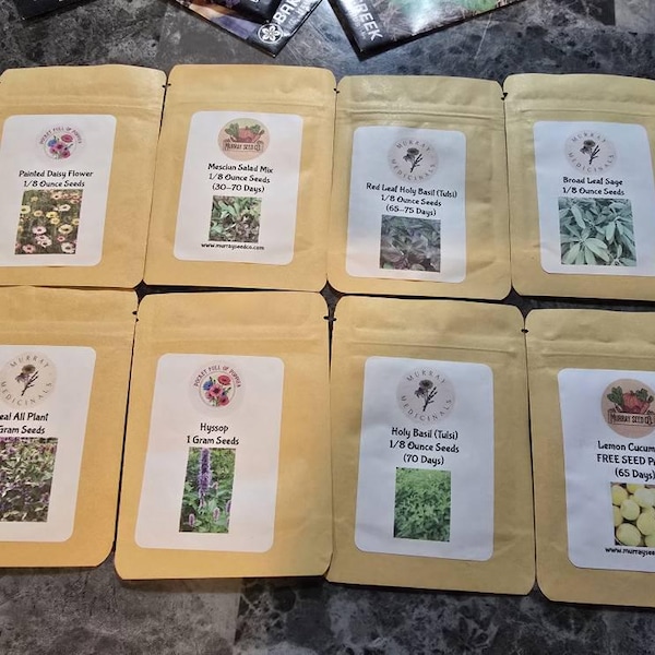 Hyssop Seeds | Heirloom | Herb | Organic - Etsy