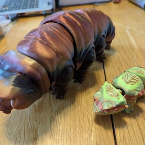 3D Printed Rattlesnake, Fully Articulated, Realistic Jaw Motion and ...