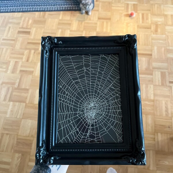 Unique Large Real Preserved Spider Web Cruelty Free Yellow Garden ...