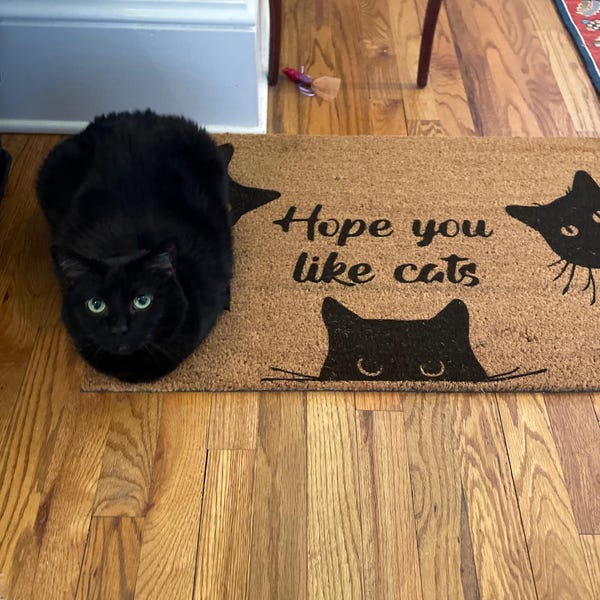 Hope You Like Cats Doormat Cat Door Mat Cat Welcome Mat Cat Gift Funny ...