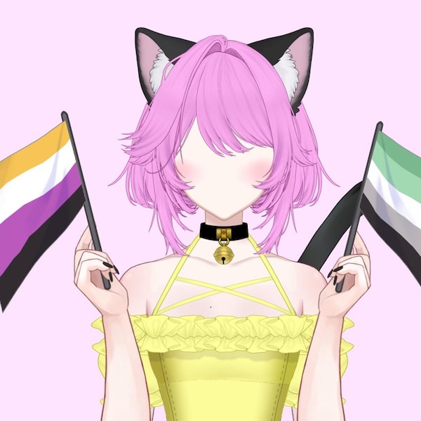 Vtuber Asset | Pride Flag | Rainbow Flag | Live2d Version | - Etsy